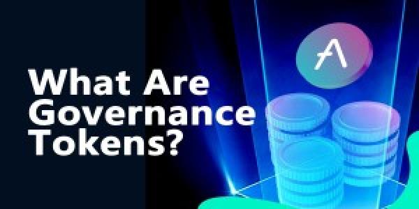 Coinbaxo - What are the governance tokens?